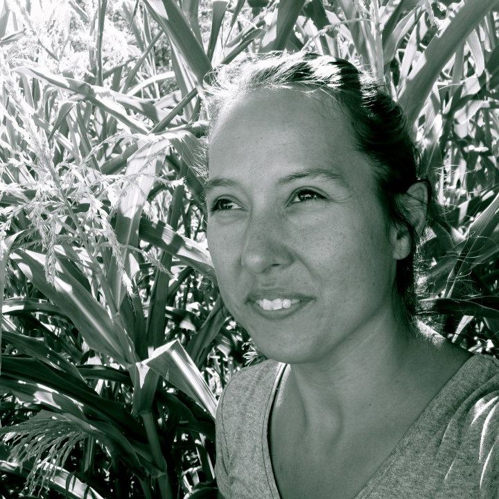 Speaker Profile: Rowen White – Food Sovereignty Symposium and Festival ...
